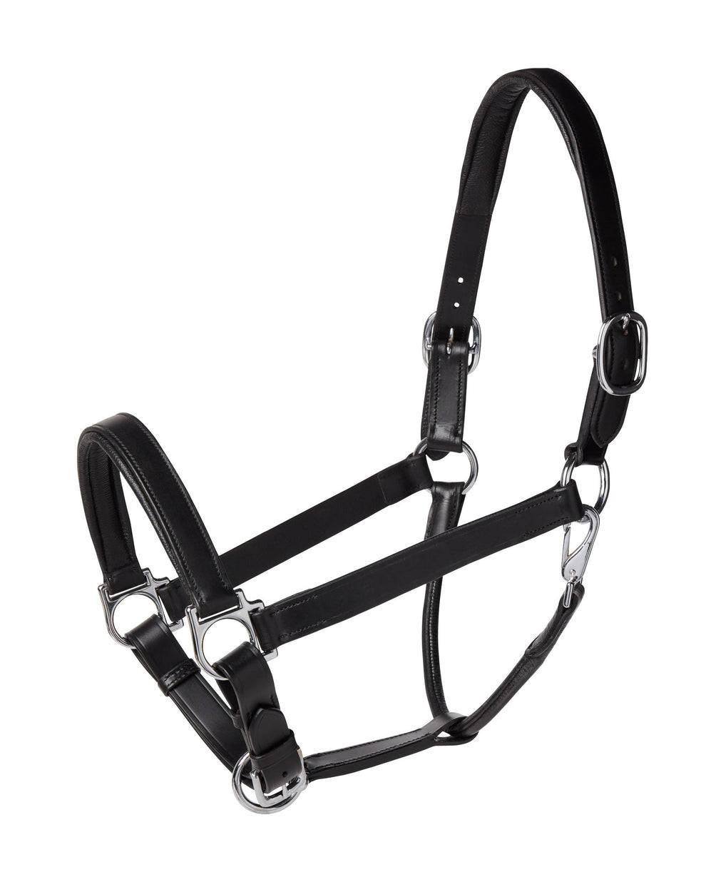 Everyday Halter – Dovorsaddlery